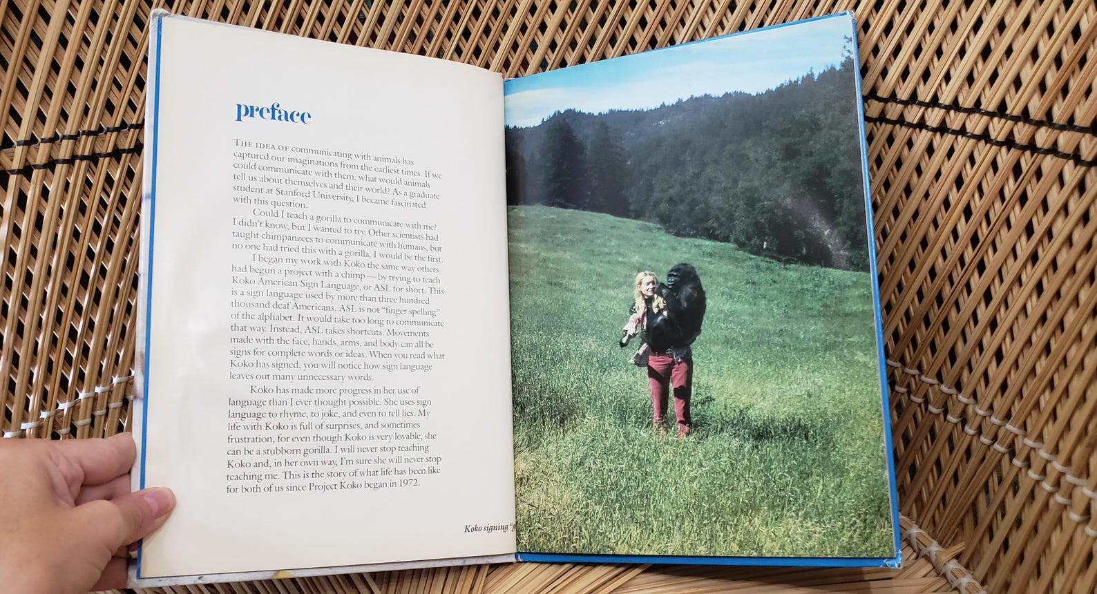 1987 Koko's Story by Dr. Francine Patterson, Hardcover - Etsy
