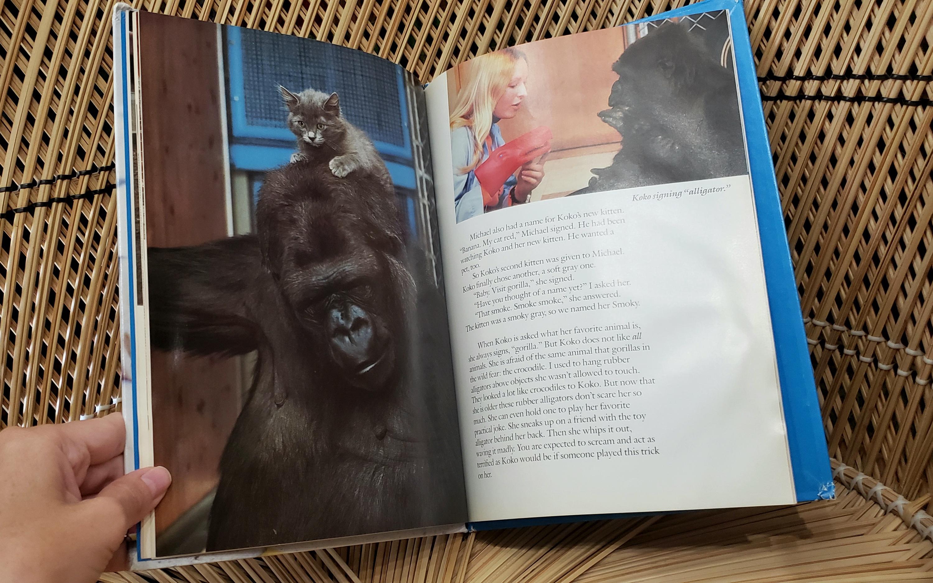 1987 Koko's Story by Dr. Francine Patterson, Hardcover - Etsy