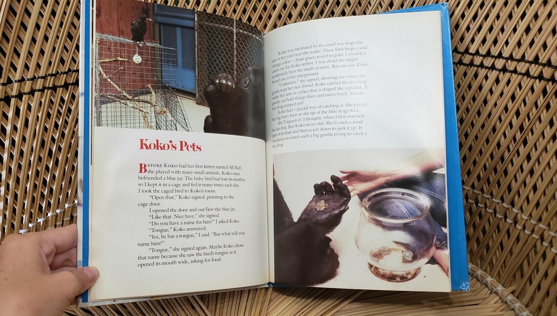1987 Koko's Story by Dr. Francine Patterson, Hardcover - Etsy