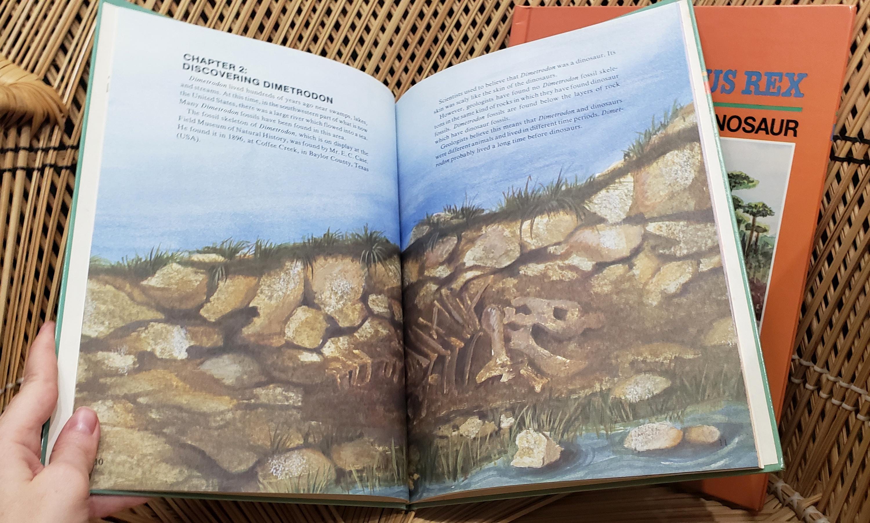 80s Dinosaur Books by Elizabeth J. Sandell Set of 2: Tyrannosaurus Rex ...