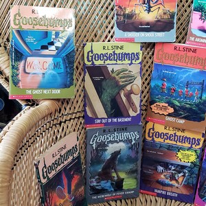 90s Goosebumps Books by R.L. Stein Scholastic, Buy 1 or All - Etsy