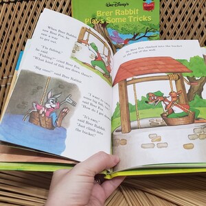 Vintage Brer Rabbit Books Set of 2 - Etsy
