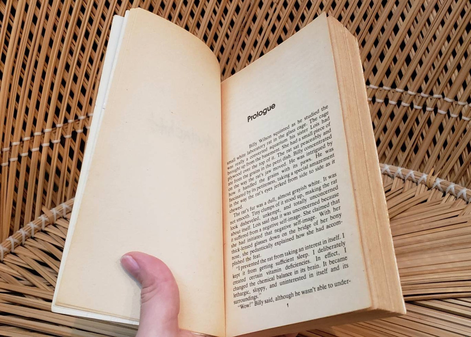 1981 Brainchild by Andrew Neiderman Paperback - Etsy