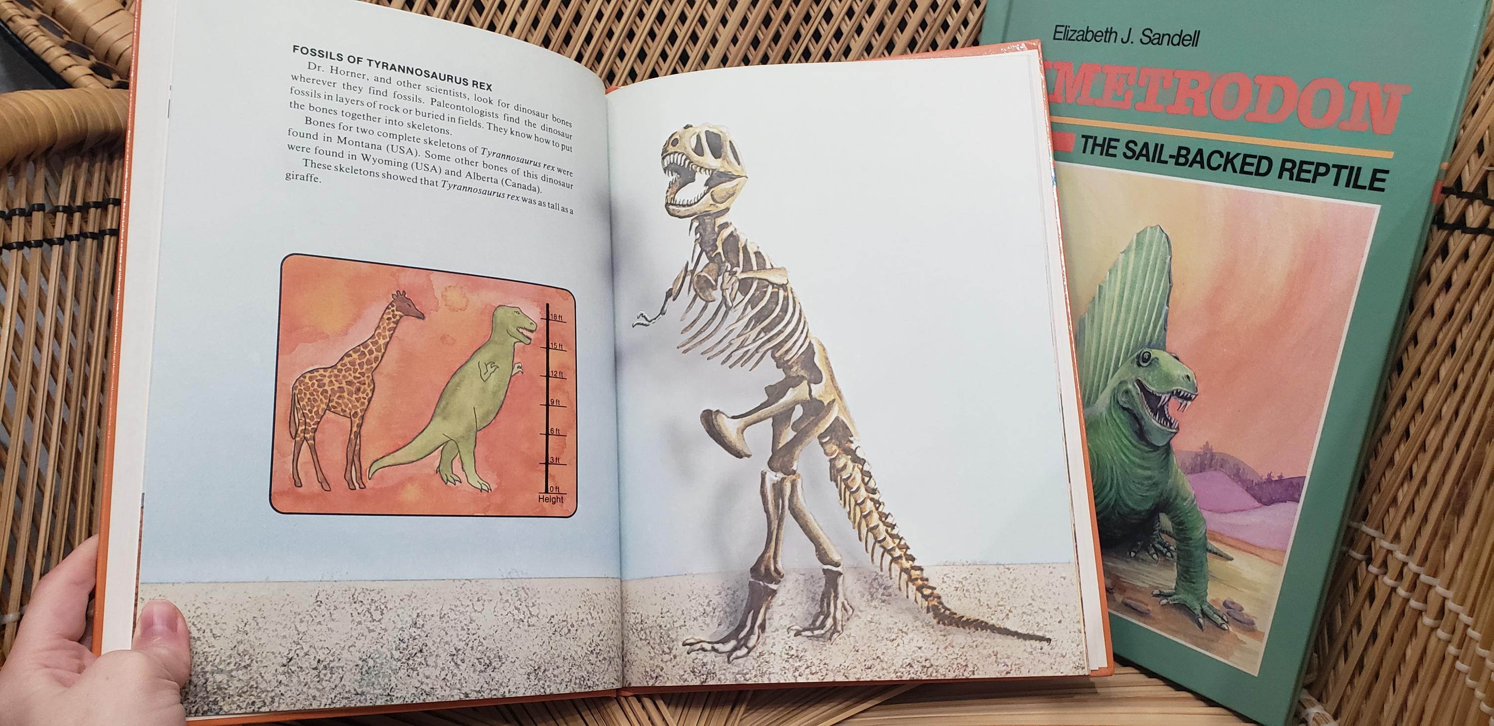 80s Dinosaur Books by Elizabeth J. Sandell Set of 2: Tyrannosaurus Rex ...