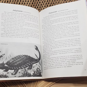 1989 Dinosaurs and Other Prehistoric Animals, Hardcover - Etsy