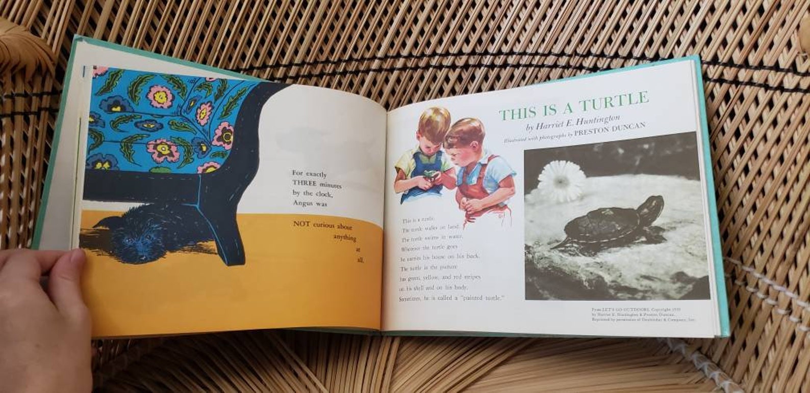 1962 Tiny Tots Picture Books: Angus & the Ducks, This is A Turtle, Fun ...