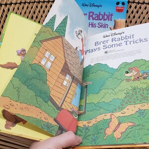Vintage Brer Rabbit Books Set of 2 - Etsy
