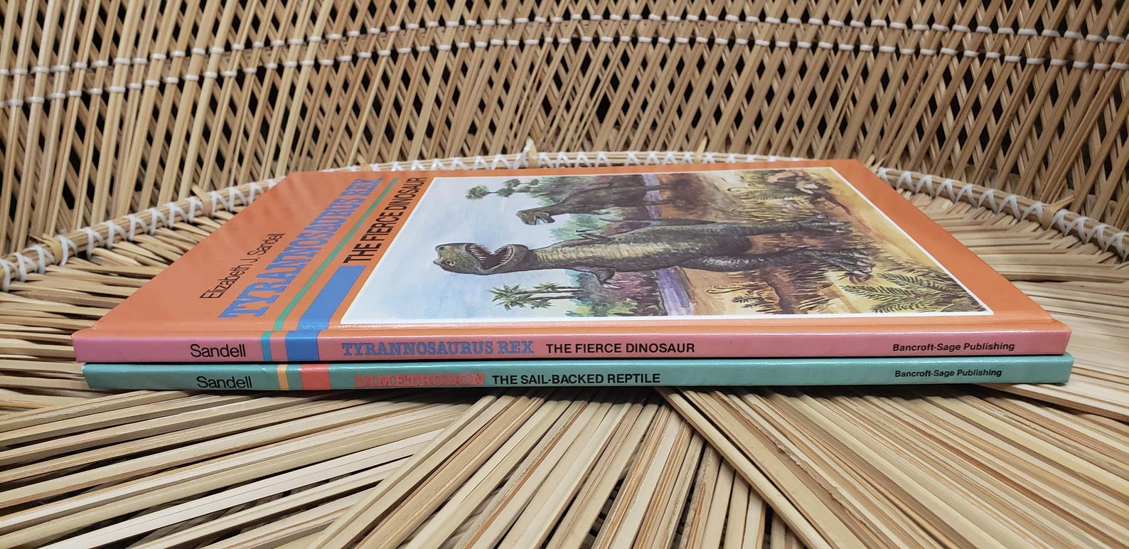 80s Dinosaur Books by Elizabeth J. Sandell Set of 2: Tyrannosaurus Rex ...