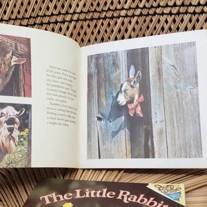Vintage the Little Rabbit & the Little Goat Books Set of 2 - Etsy