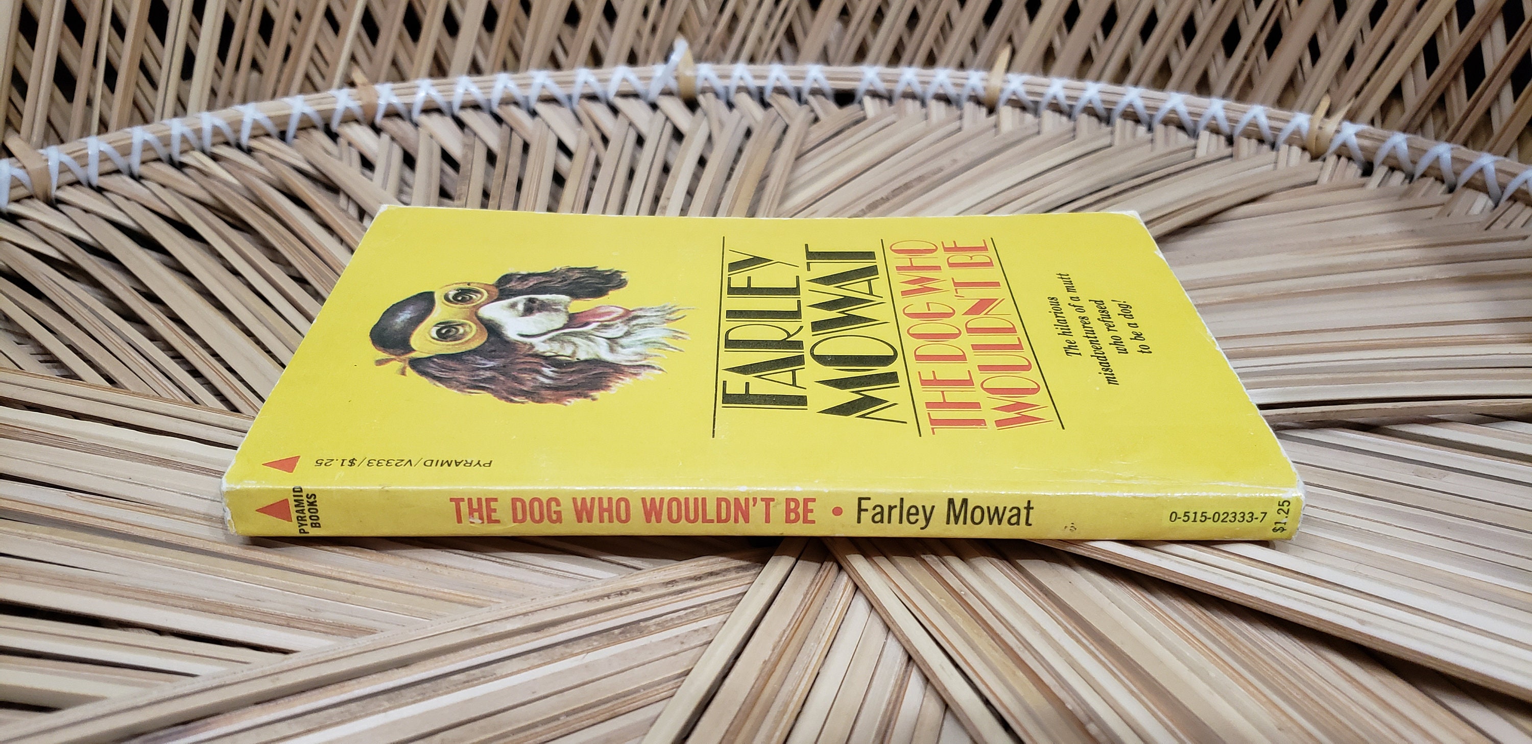 1976 the Dog Who Wouldn't Be by Farley Mowat, Paperback - Etsy