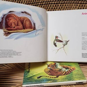 1972 Now You Know Books Set of 2, Now You Know Animal Homes & Now You ...