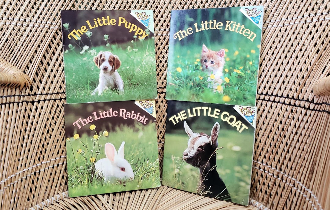 Vintage Please Read to Me Books Set of 4: the Little Rabbit, the Little ...