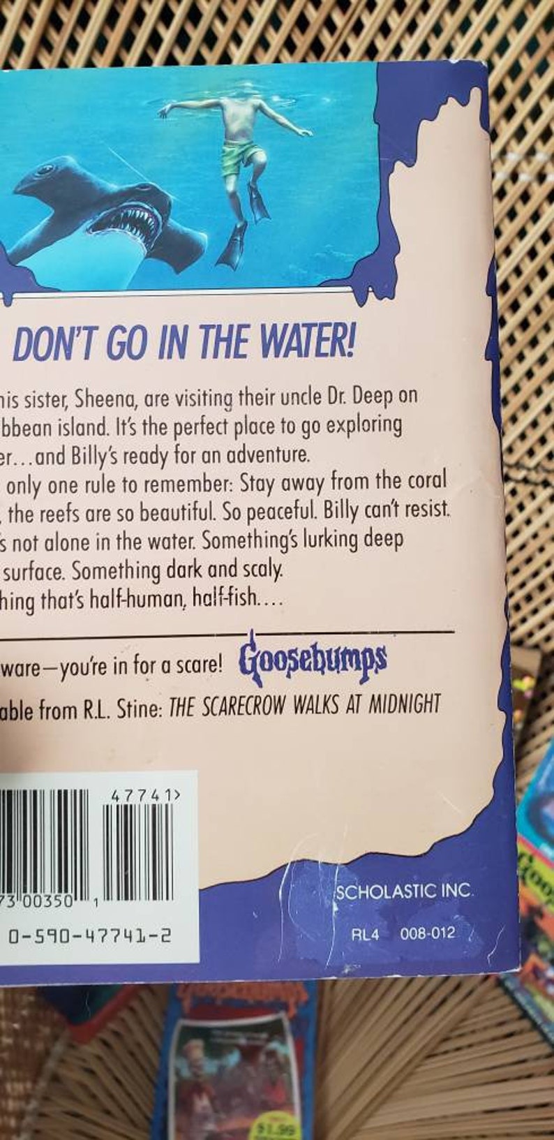 90s Goosebumps Books by R.L. Stein Scholastic Buy 1 or All - Etsy