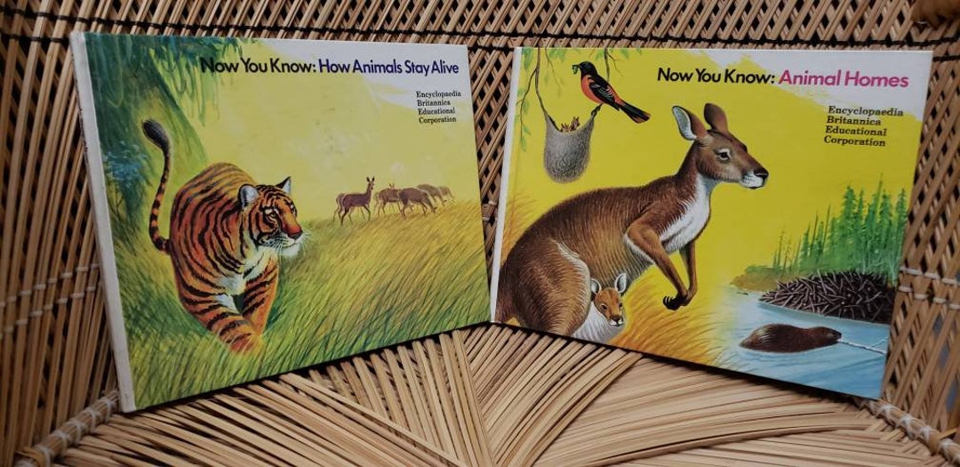 1972 Now You Know Books Set of 2, Now You Know Animal Homes & Now You ...