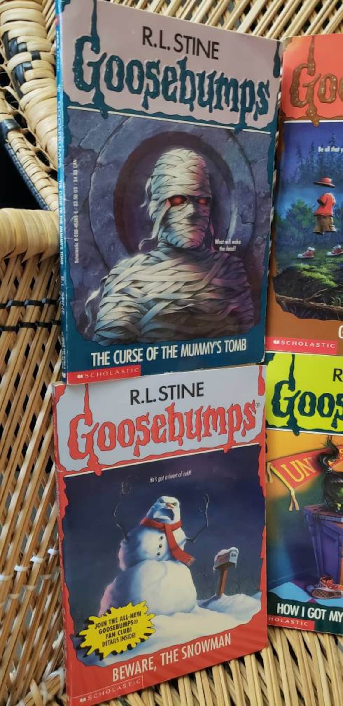 90s Goosebumps Books By R.L. Stein Scholastic Vintage | Etsy