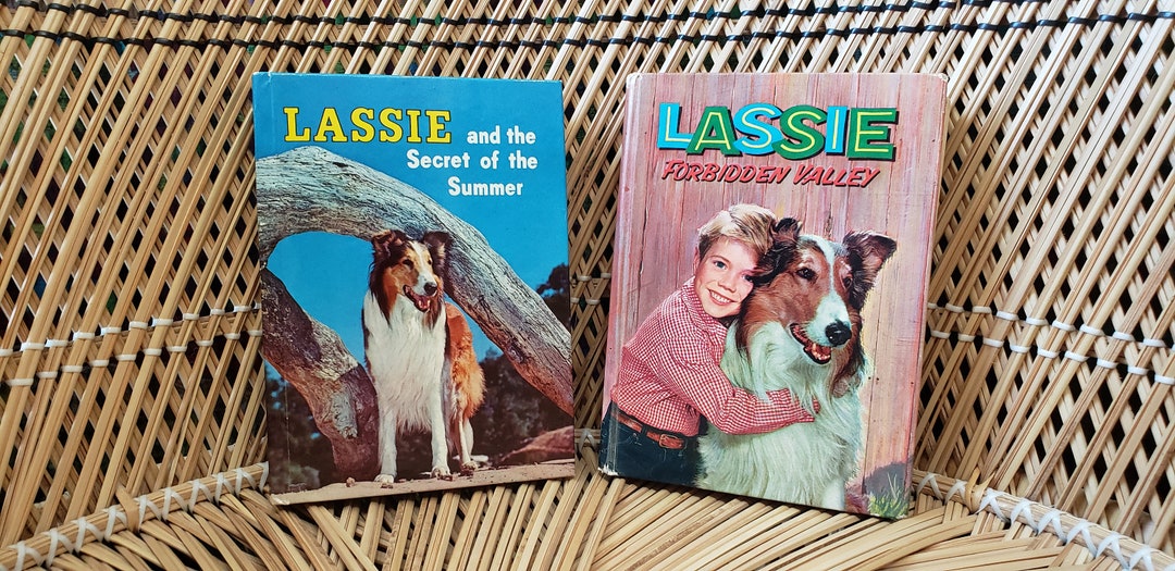 50s Lassie Books Set of 2, Hardcovers - Etsy