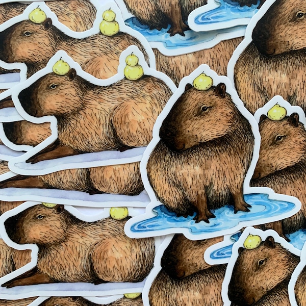 Capybara Vinyl Sticker - Etsy