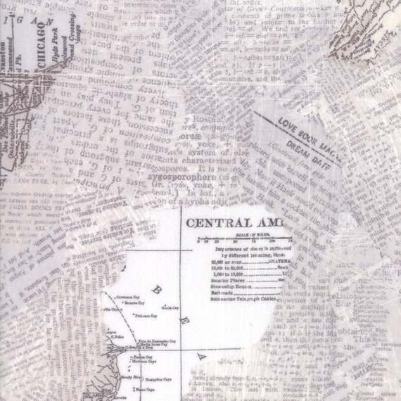 Compositions by Basic Grey 3045012 1/2 Yd | Etsy