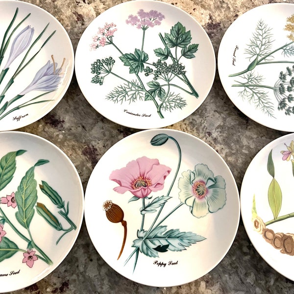 Botanical Plates - Etsy