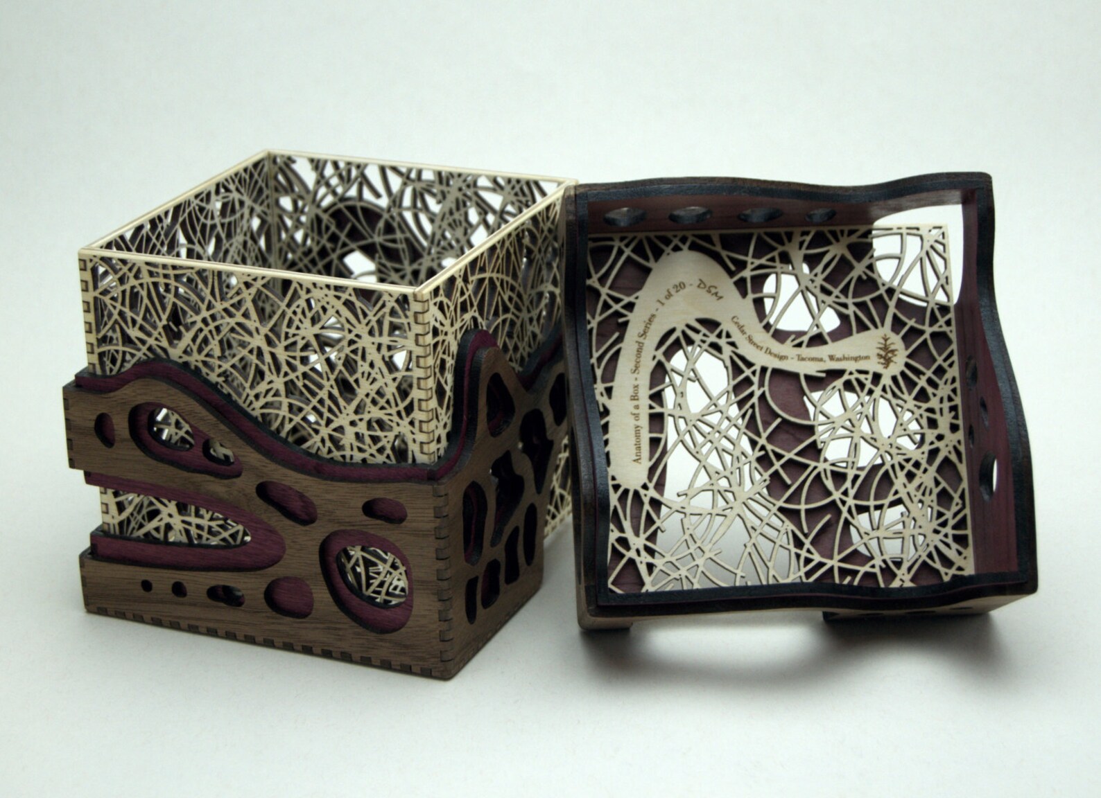 Anatomy of a Box Two - Etsy