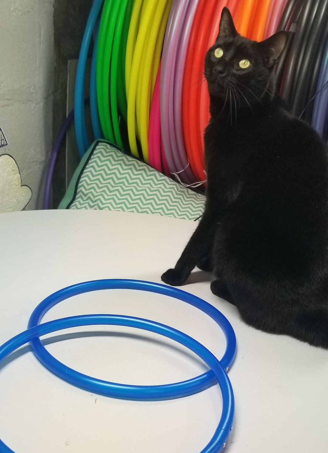 Tiny Mini Hoop ~ Colored Polypro Hula Hoops Micro Minis ~ Single ...