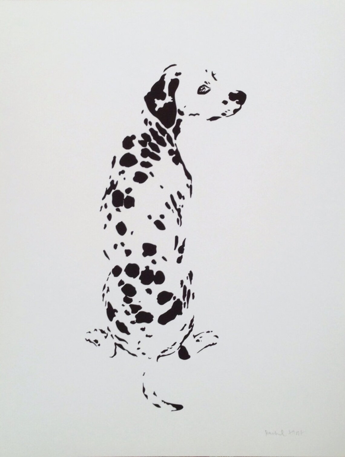 Dalmatian Print Fine Art Print of Original Ink Drawing - Etsy