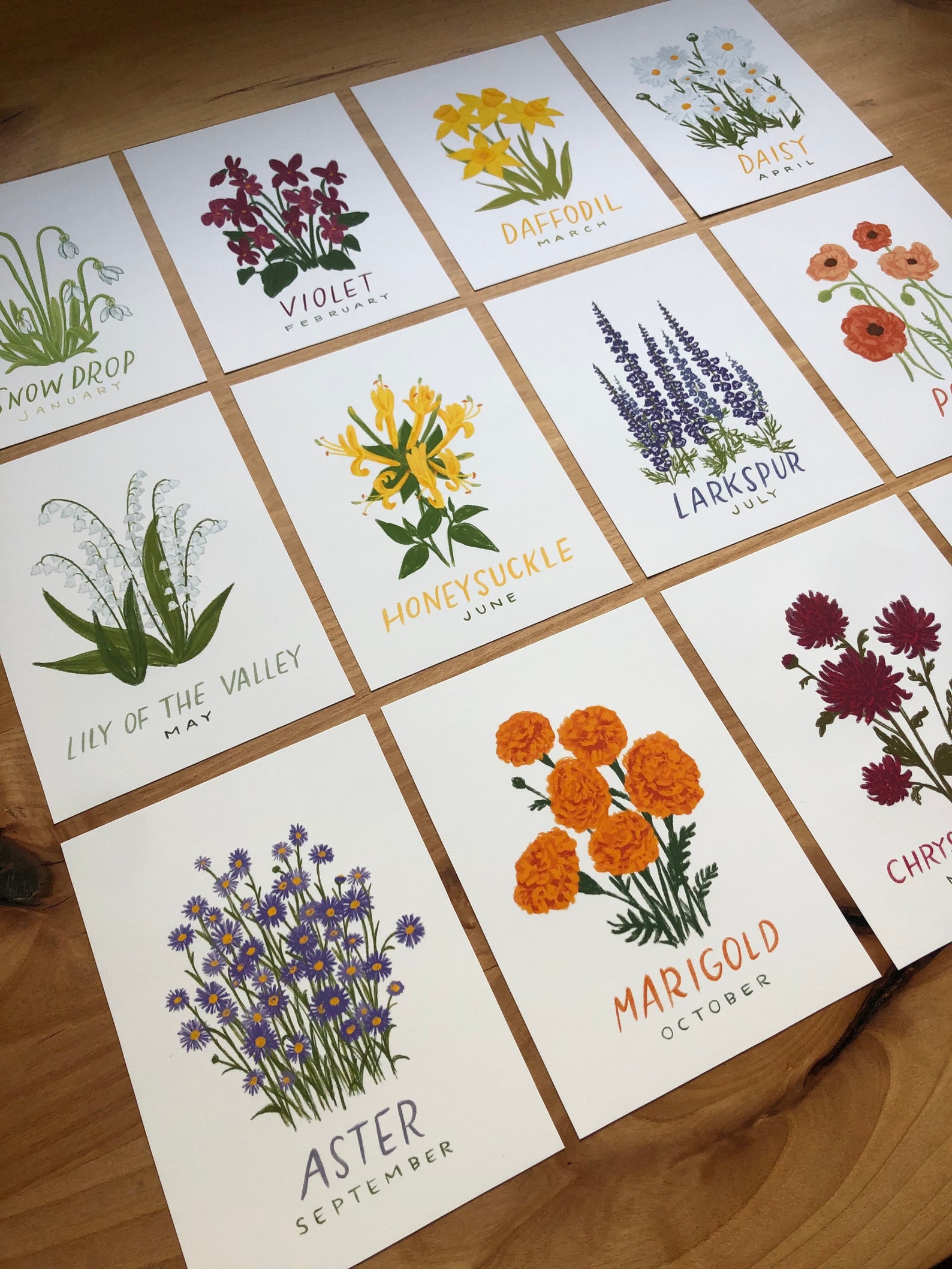 Marigold - October Birth Month Flower - Floral Illustration Art Print ...