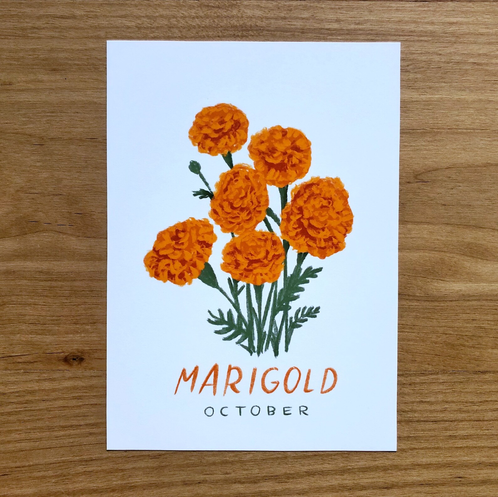Marigold October Birth Month Flower Floral Illustration - Etsy
