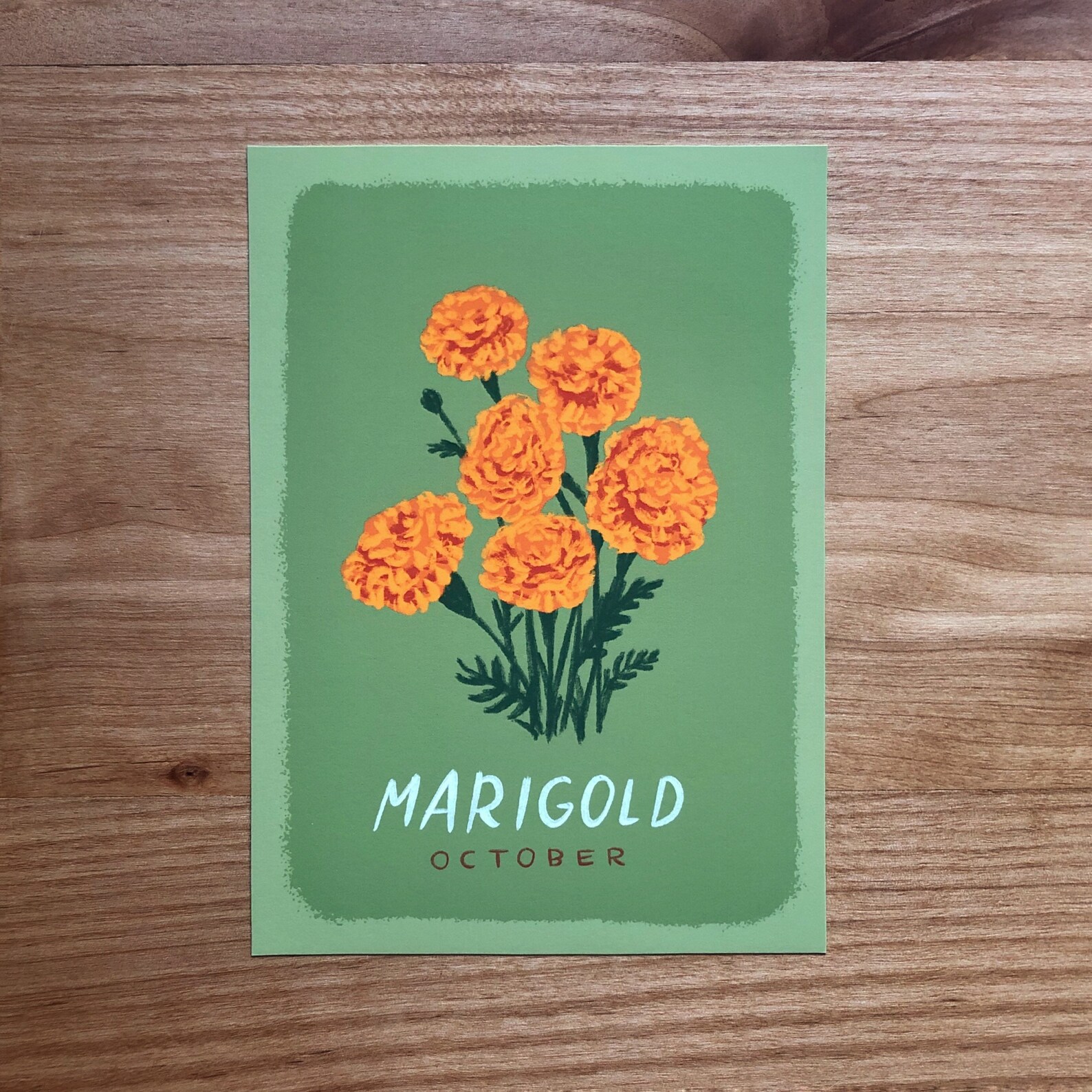 Marigold October Birth Month Flower Floral Illustration - Etsy