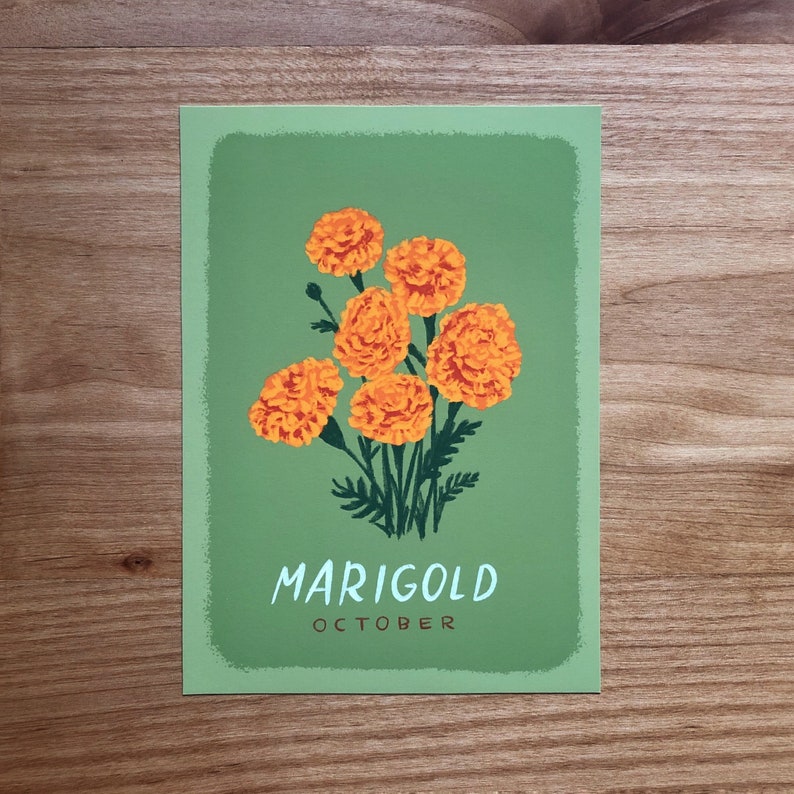 Marigold - October Birth Month Flower - Floral Illustration Art Print ...