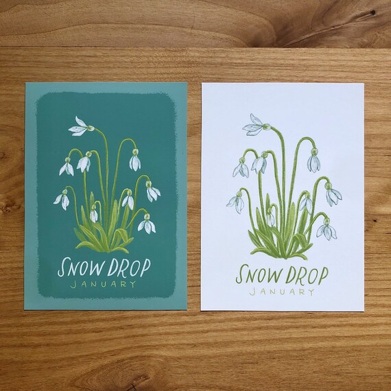 Snowdrop January Birth Month Flower Floral Illustration - Etsy