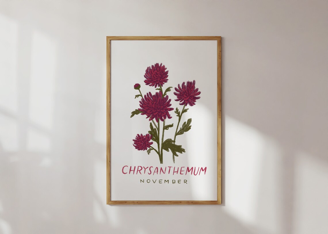 Chrysanthemum - November Birth Month Flower - Floral Illustration Art ...