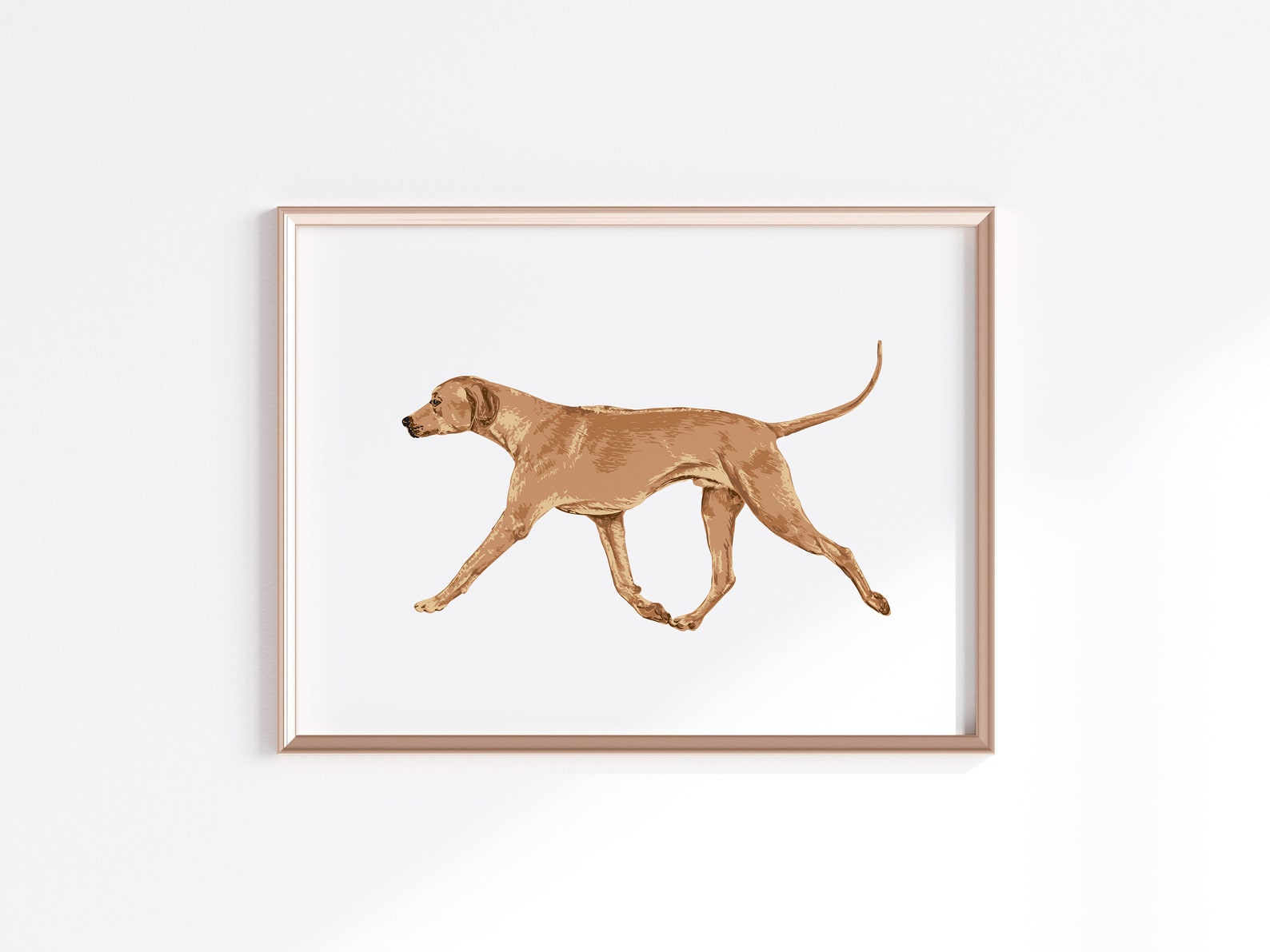 Rhodesian Ridgeback Print - Etsy