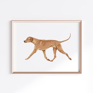 Rhodesian Ridgeback Print - Etsy