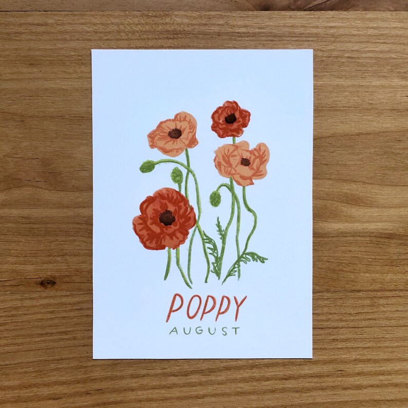 Poppy - August Birth Month Flower - Floral Illustration Art Print - Etsy