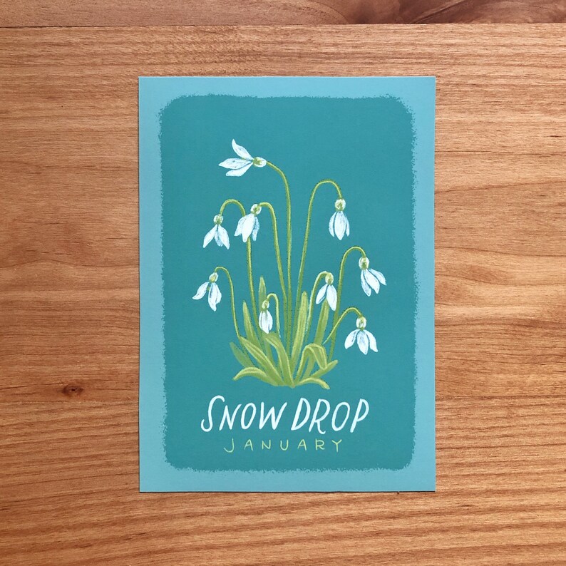 Snowdrop January Birth Month Flower Floral Illustration - Etsy