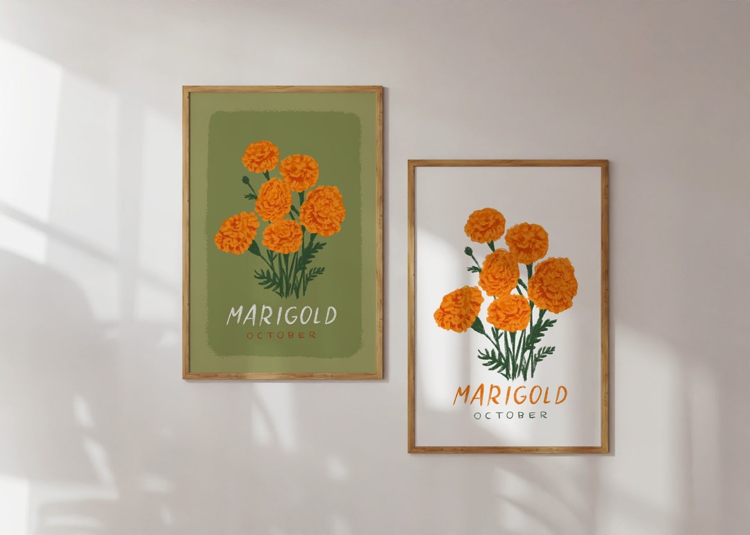 Marigold - October Birth Month Flower - Floral Illustration Art Print ...