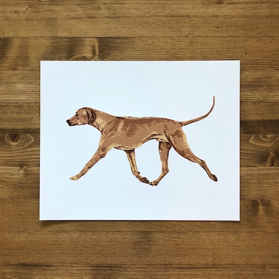 Rhodesian Ridgeback Print | Etsy