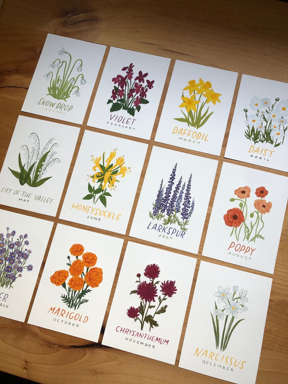 Daffodil March Birth Month Flower Floral Illustration Art | Etsy