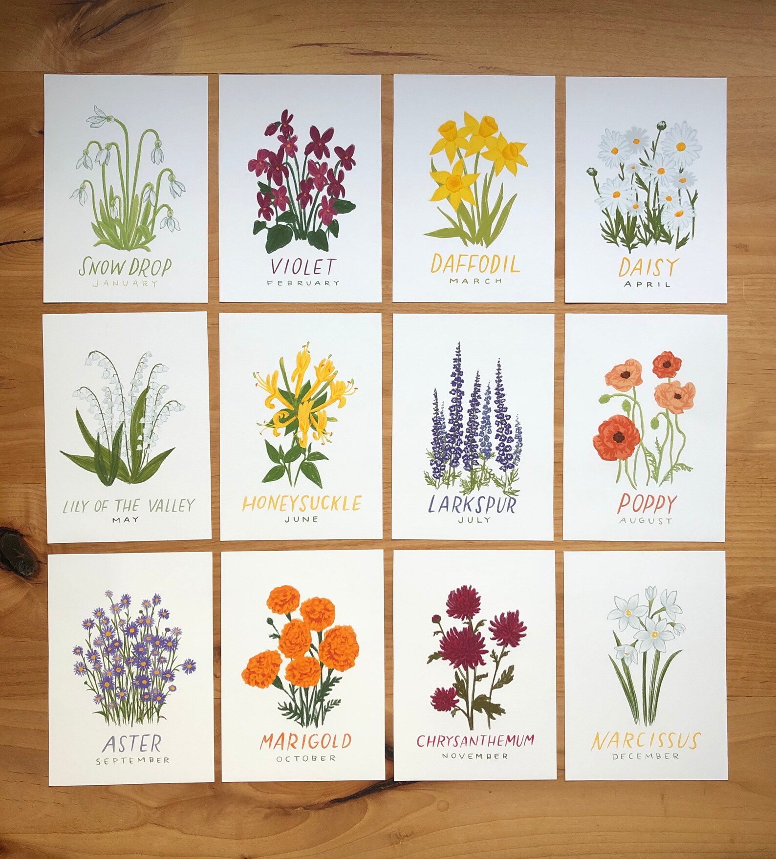 Honeysuckle - June Birth Month Flower - Floral Illustration Art Print ...