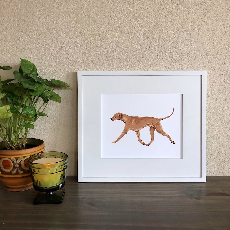 Rhodesian Ridgeback Print - Etsy