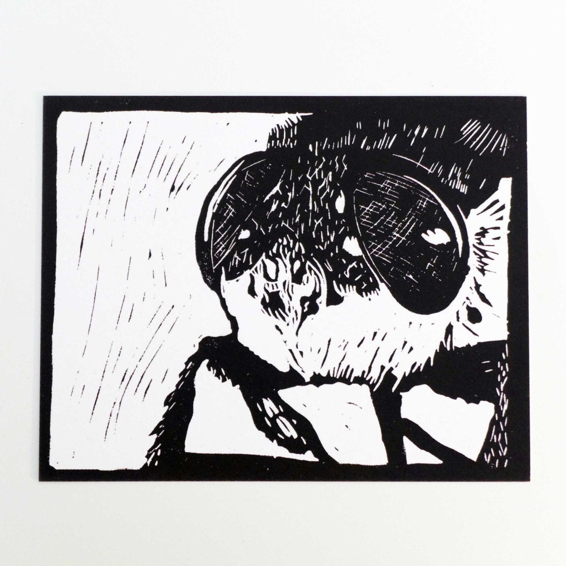 Bot Fly Print - Etsy