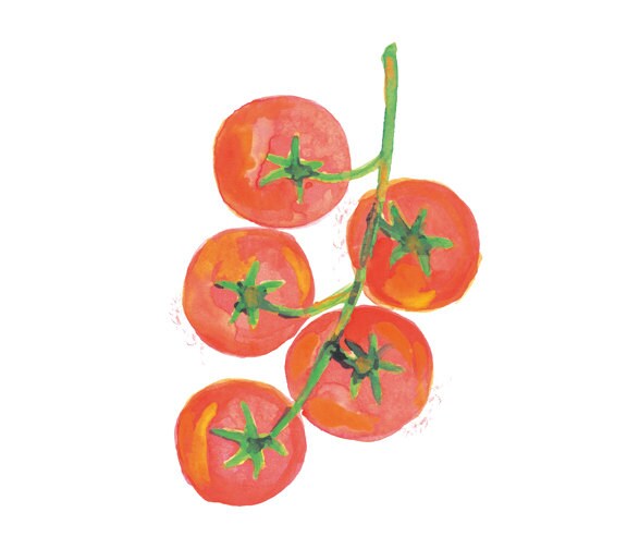 Tomatoes Watercolor Painting Red Home Decor Botanical - Etsy