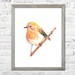 Bird Art, Birds Watercolor Print, Bird Wall Decor, Bird Print ...