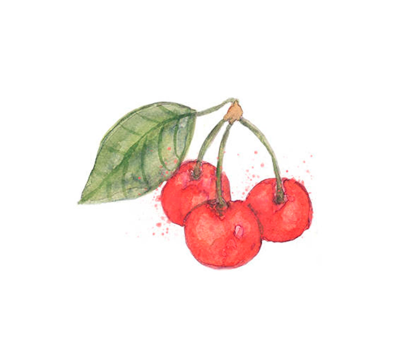 Cherry Watercolor Art Print Fruit Watercolor Art Cherry - Etsy