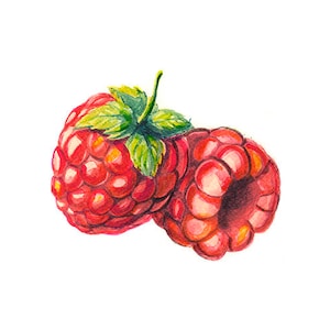 Kitchen Wall Art, Fruit Watercolor, Kitchen Print, Raspberry Watercolor ...