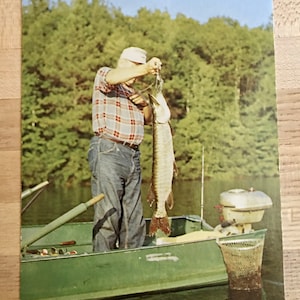 Nice Catch Big Fish Vintage Postcard, Unposted Souvenir Ephemera, Junk ...