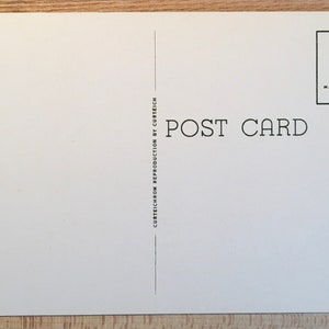 What Does Chief Do When Not Fishing! Vintage Humorous Postcard, White ...