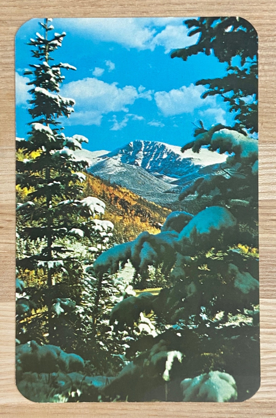 Mt Ypsilon in Autumn Rocky Mountian National Park Colorado Postcard ...