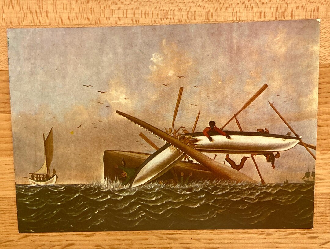 Whaling Museum New Bedford MA Postcard, American History Sperm Whale ...